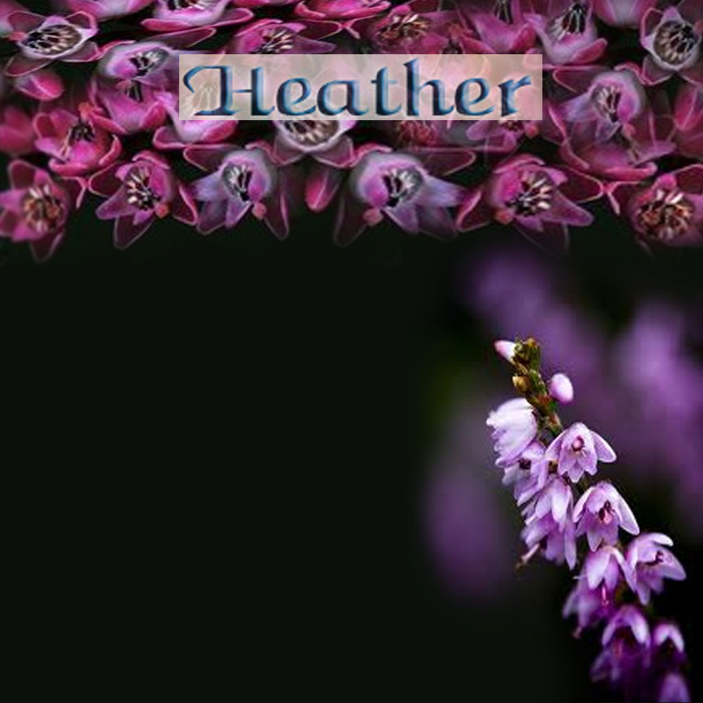 H3@TH3R: Heather Flowers